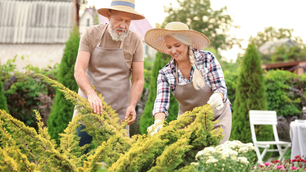 The 7 Best Retirement Hobbies for Seniors – Malloway Village
